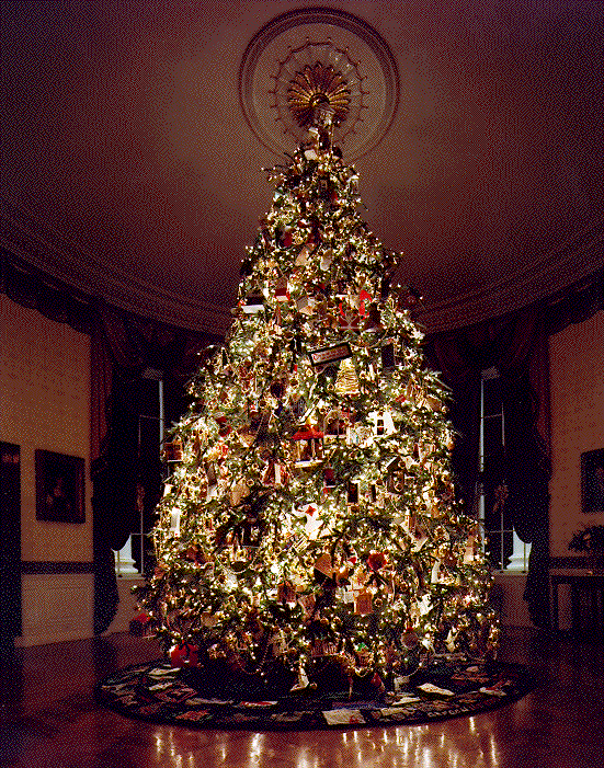 East Wing Rules: Michelle's First White House Christmas Tree